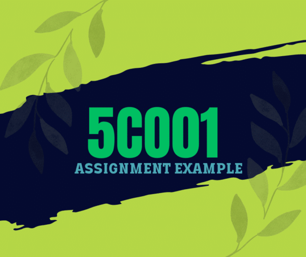 5CO01 Organisational Performance and Culture in Practice Assignment ...